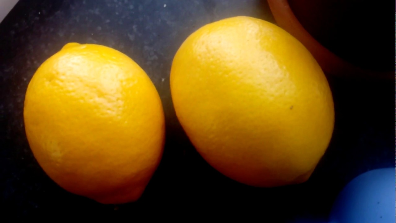 Inmultirea lamaiului prin seminte - YouTube