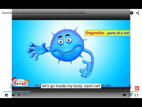 NFE science cell p1 - YouTube