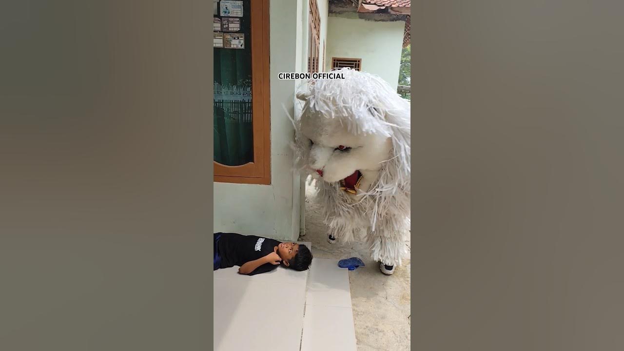 lagi tidur di depan rumah bocil ff dimakan can macanan - YouTube