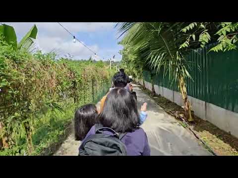 Ruza Agrotech Tram Ride - YouTube