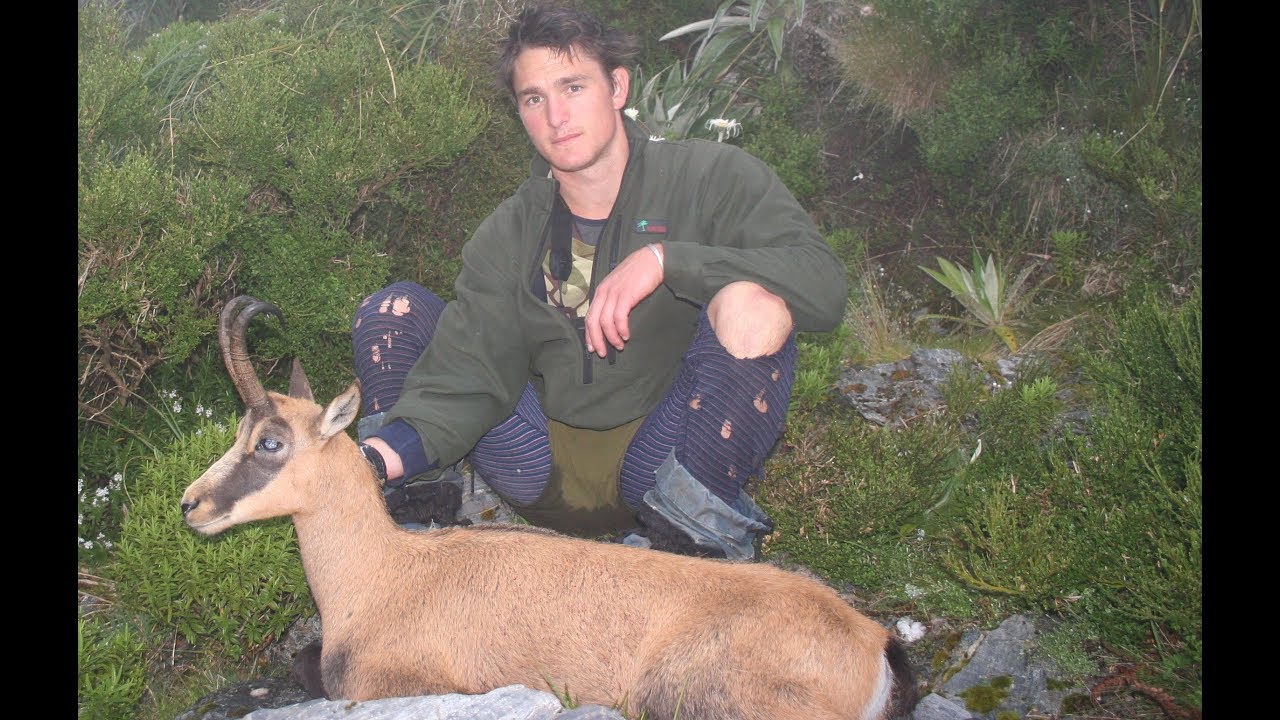 Chamois Hunting, Torlesse Range, Canterbury - Archive footage from 2005 ...