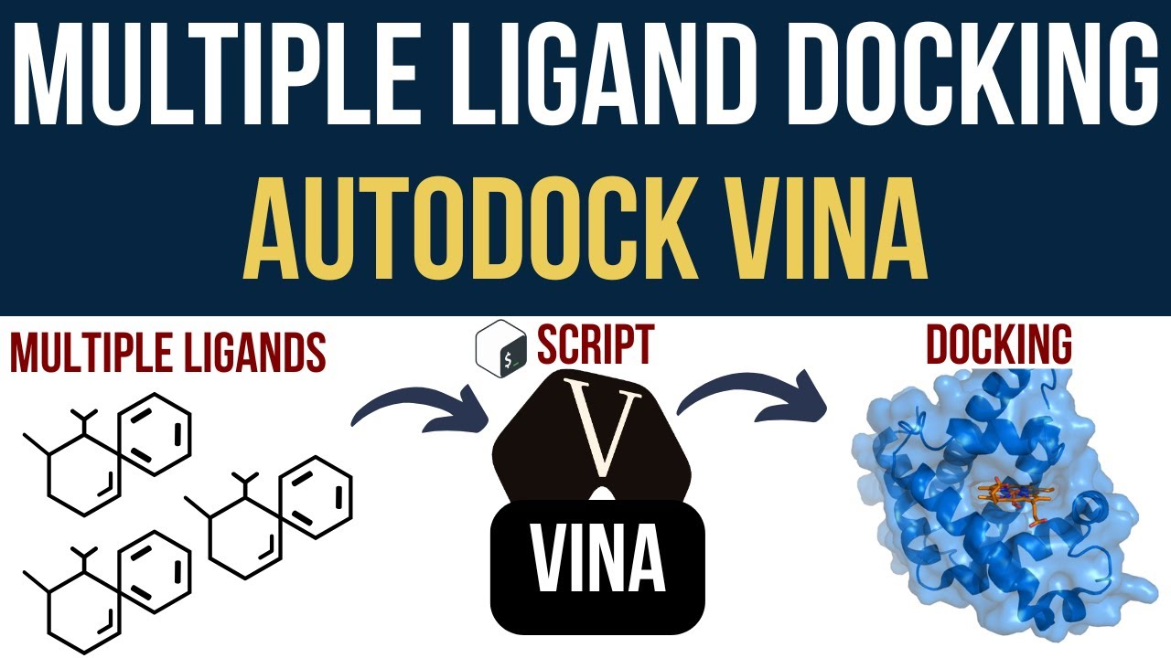 AutoDock Vina: Multiple Ligand Docking in MINUTES! (Bash Script Guide ...