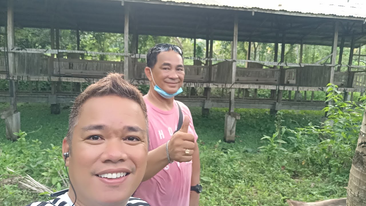 Itik Farming Commercial Building Design - YouTube