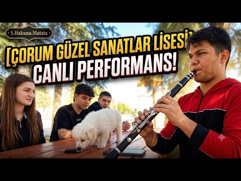 Çav Bella Türkçe performans 🫶