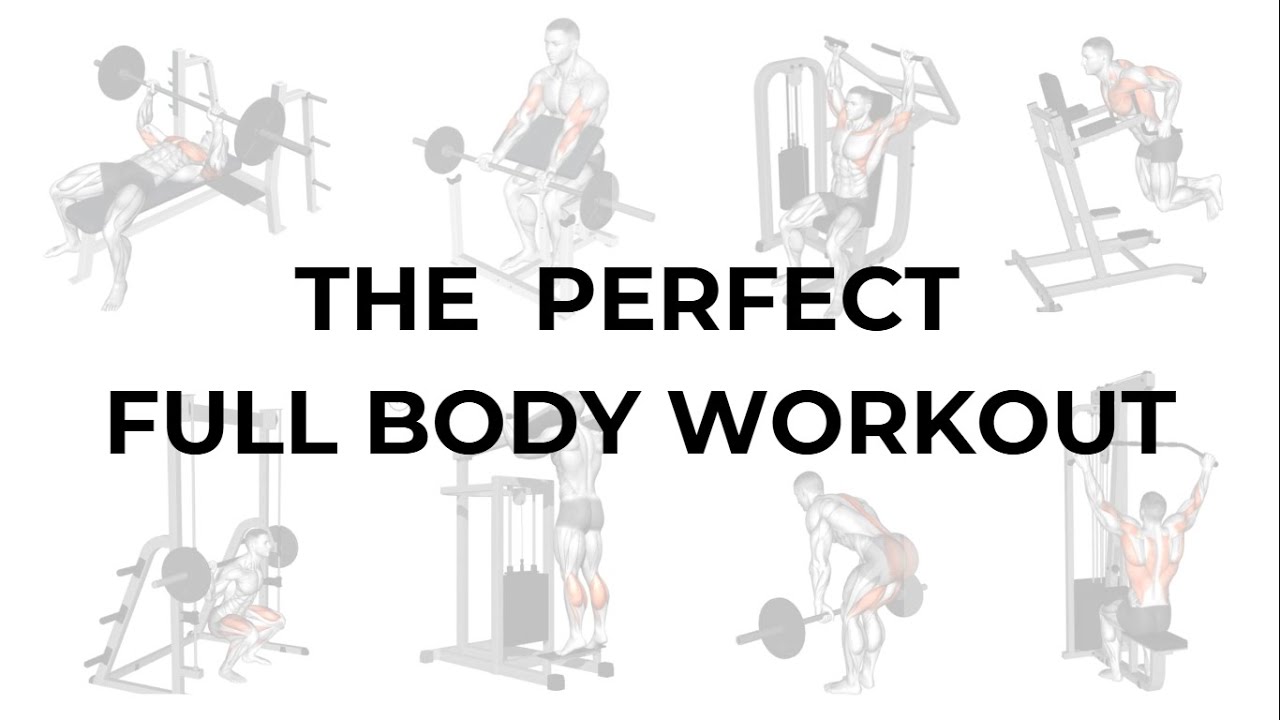 The PERFECT Full Body Workout for Beginners - YouTube
