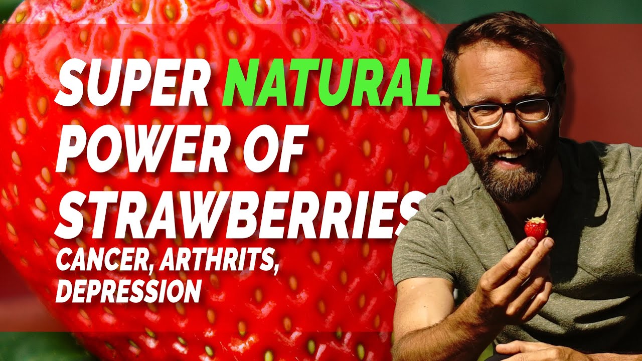 Fact or Myth: Do Strawberries Help Cancer, Arthritis, Depression and ...