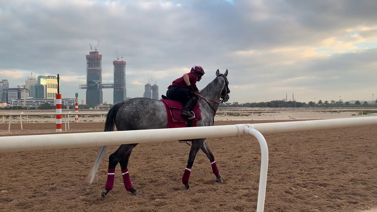 ZABEEL STABLE TOUR - YouTube