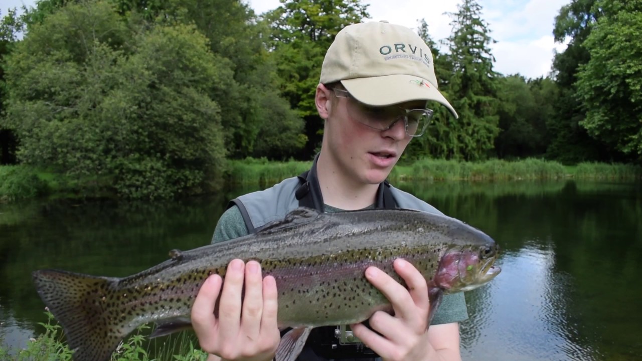 Avington Trout Fishery Summer edition - YouTube