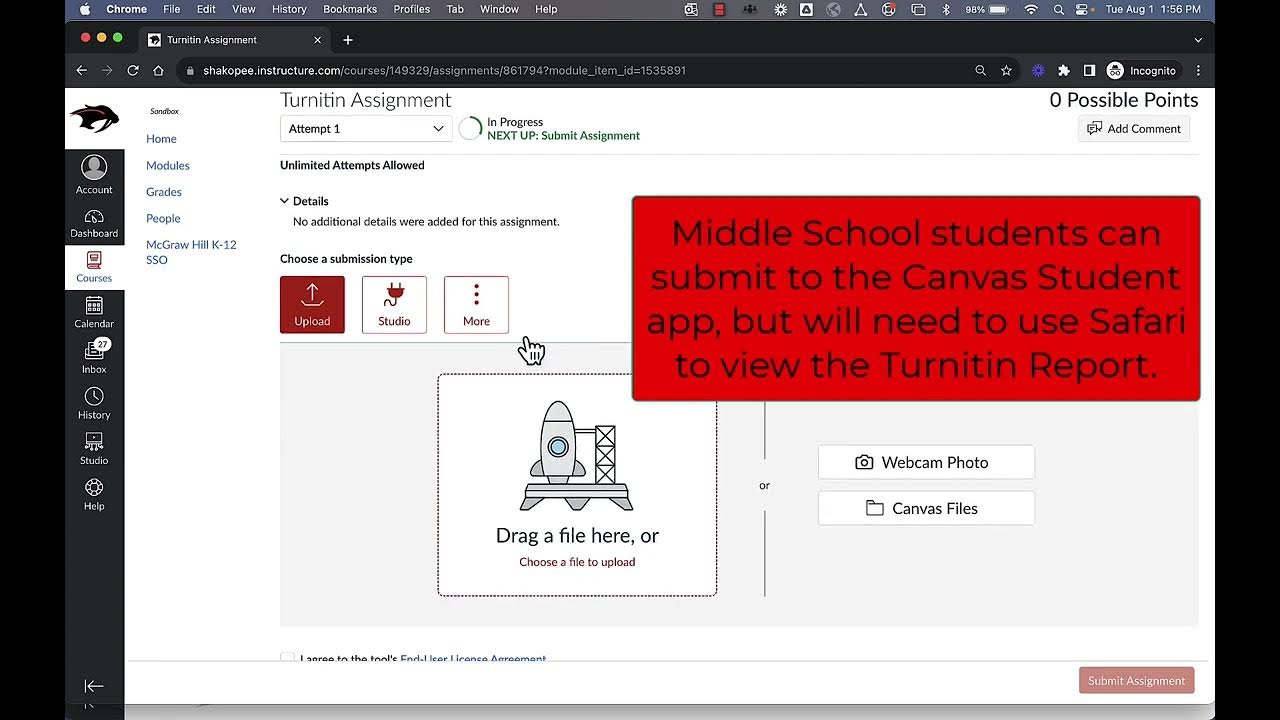 Turnitin Canvas Integration - YouTube
