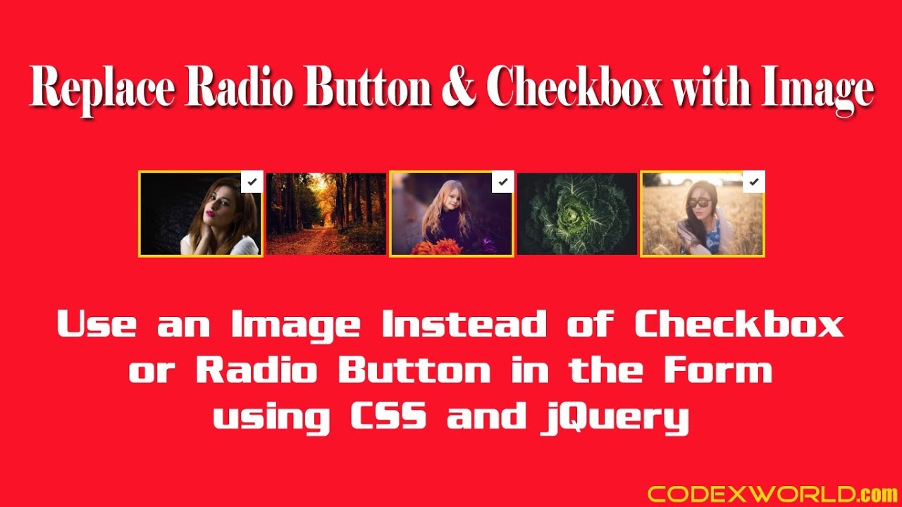 Replace Radio Button And Checkbox With Image Using Jquery Youtube 9778