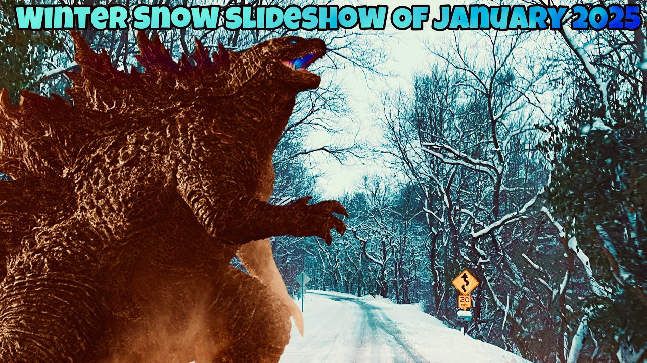 Winter Snow Slideshow Of January 2025 - YouTube