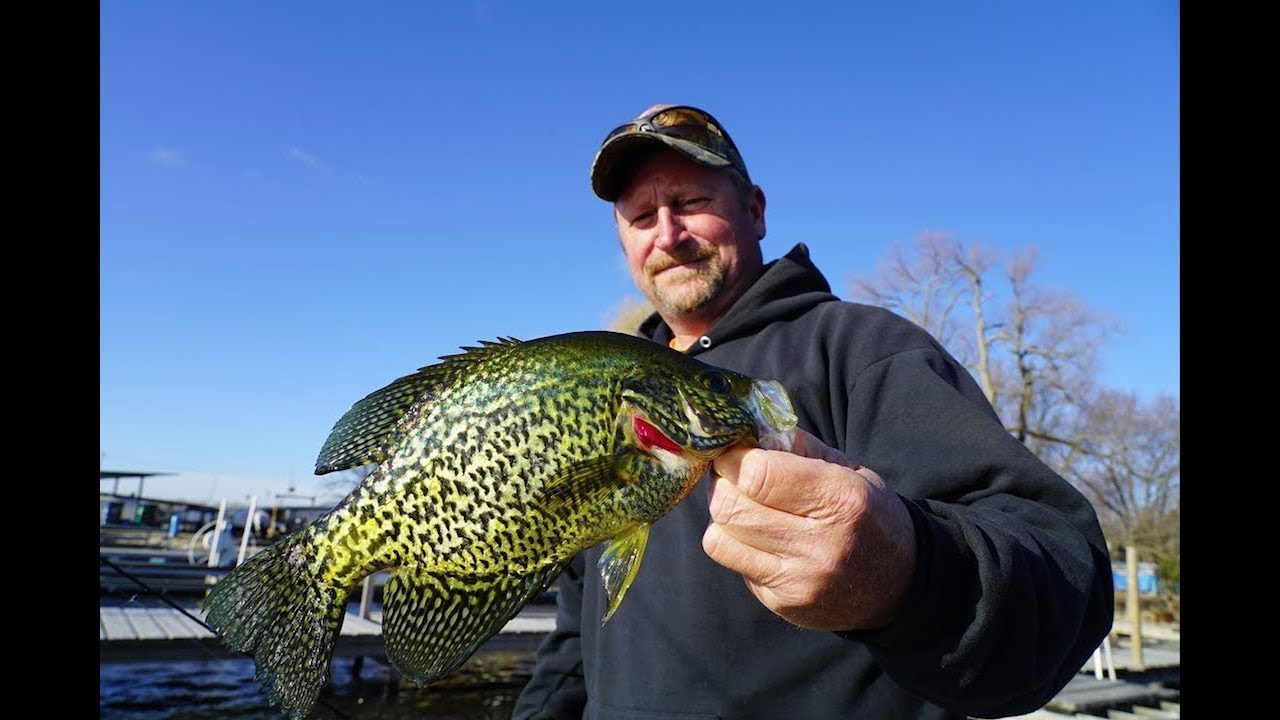 GIANT Panfish on the Madison Chain - YouTube