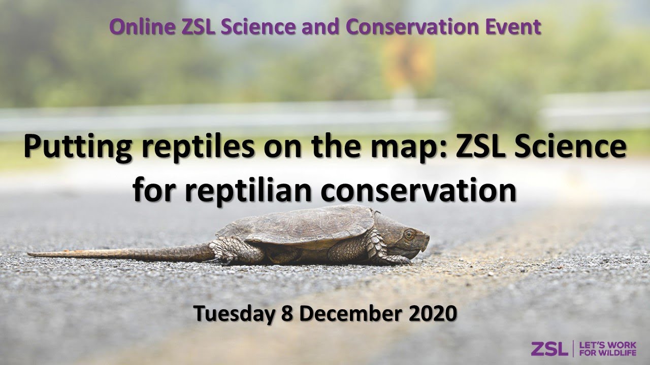 Putting reptiles on the map: ZSL Science for reptilian conservation ...