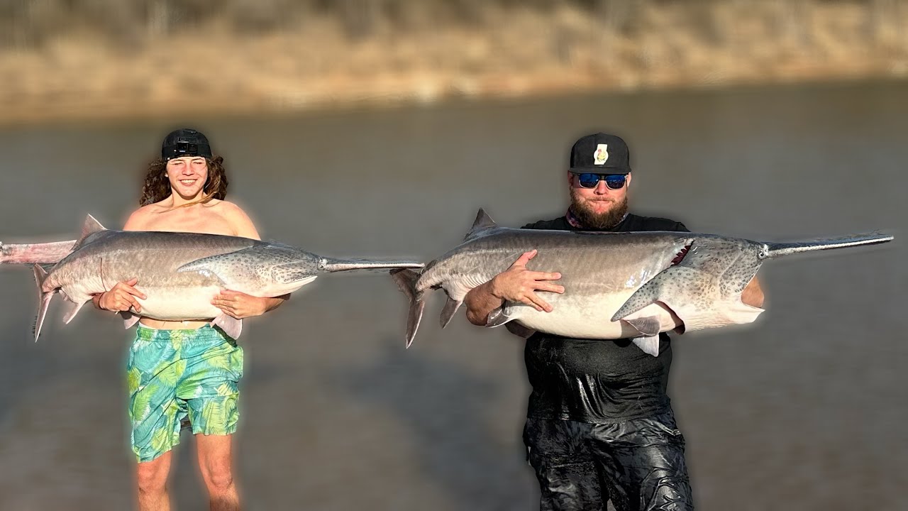 We Caught Hundreds of Paddle Fish!! My First Vid(Catch Clean Cook on ...
