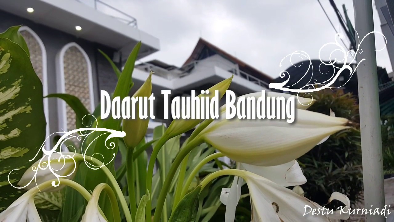 Profile Singkat Pondok Pesantren Daarut Tauhiid Pusat Bandung - YouTube