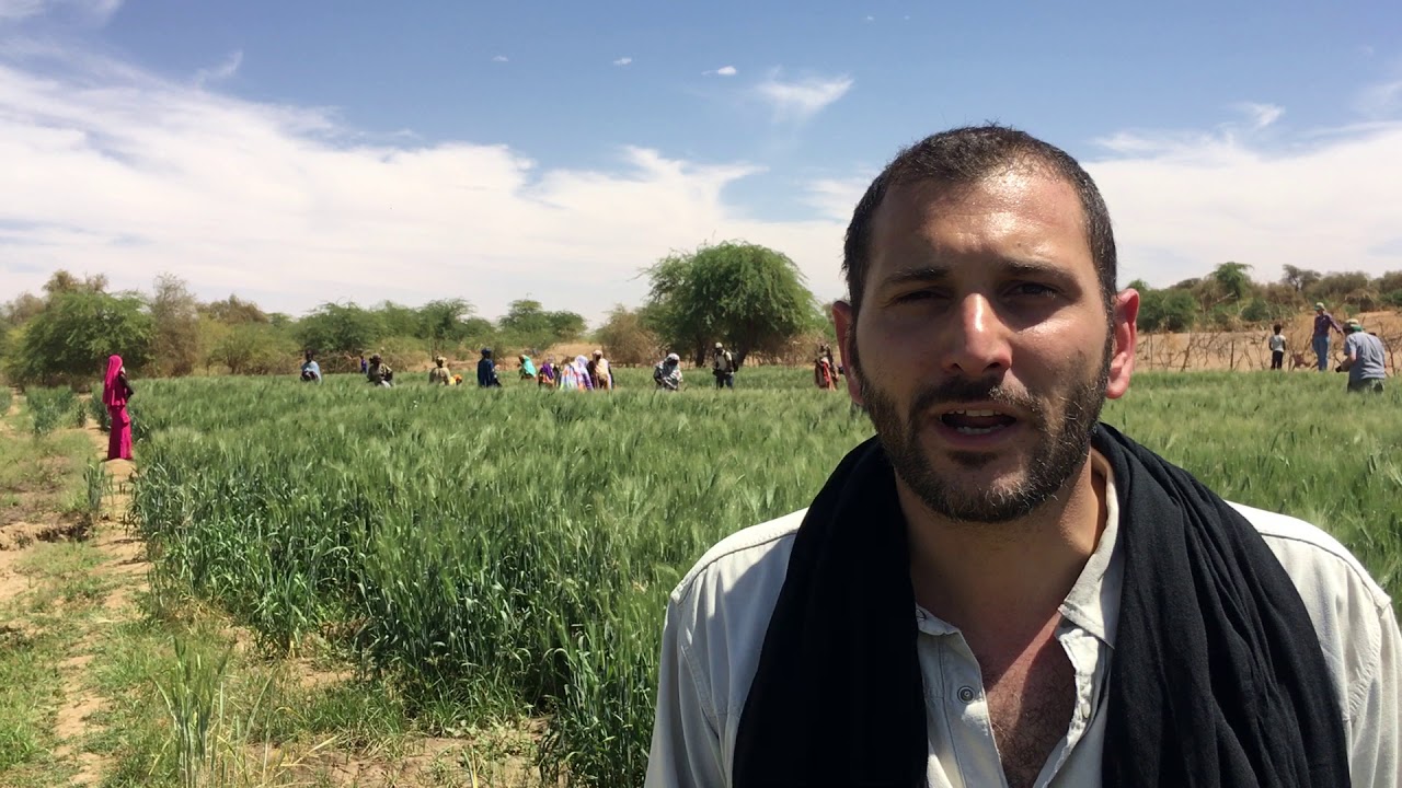 Intervento Filippo Bassi dal Senegal per Europa Africa - Cecile Kyenge ...