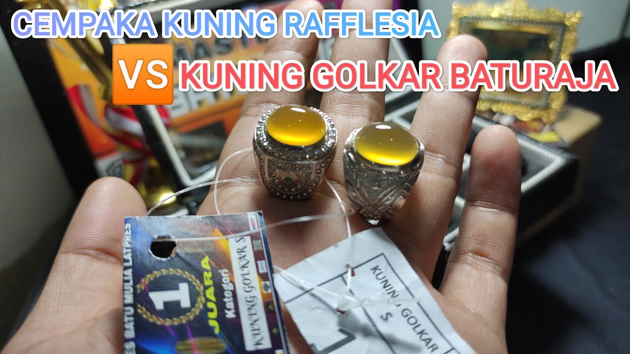 BATU KUNING TERBAIK DARI SUMATERA‼️ - YouTube