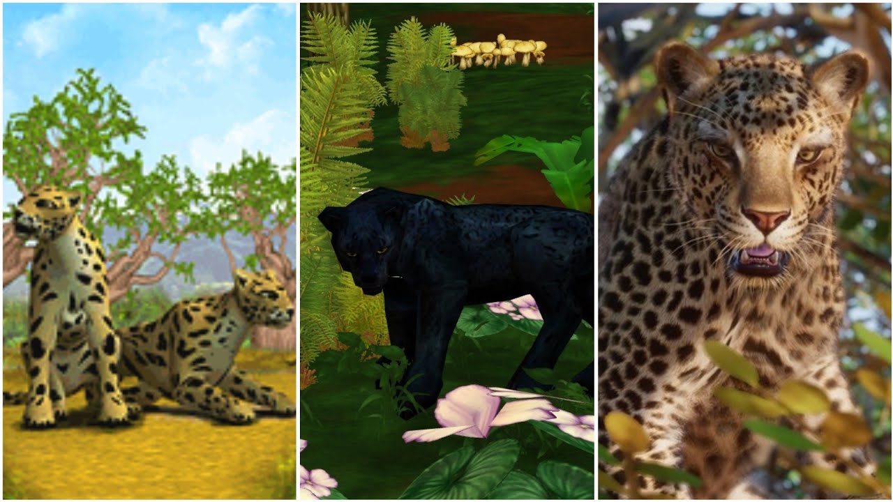 Leopard: Comparison In 7 Games 🐆 - YouTube