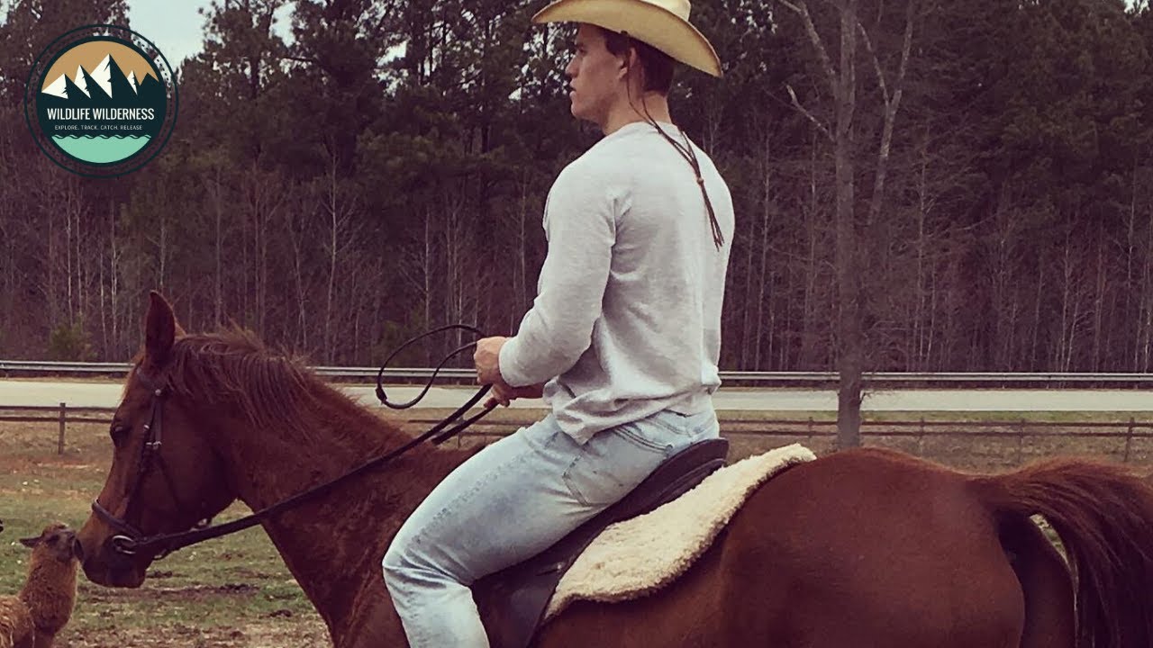 Riding My Arabian Horse - YouTube