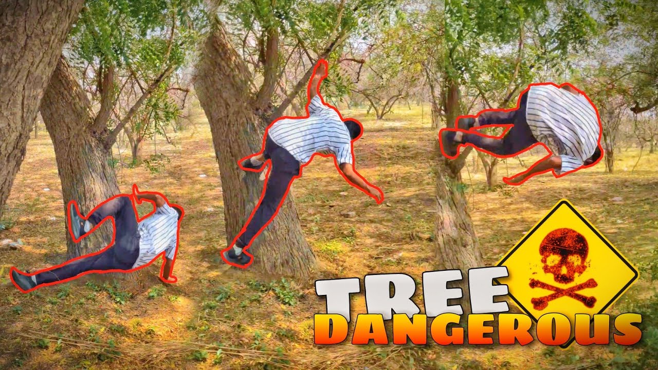 TREE CHALLENGE with PARKOUR 😬 | @teammow | - YouTube