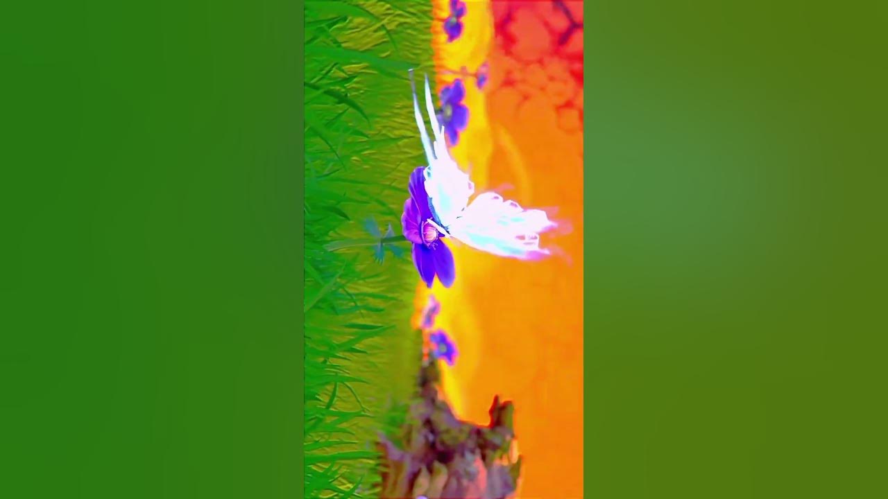 Fortnite Edit Fortnite Youtube