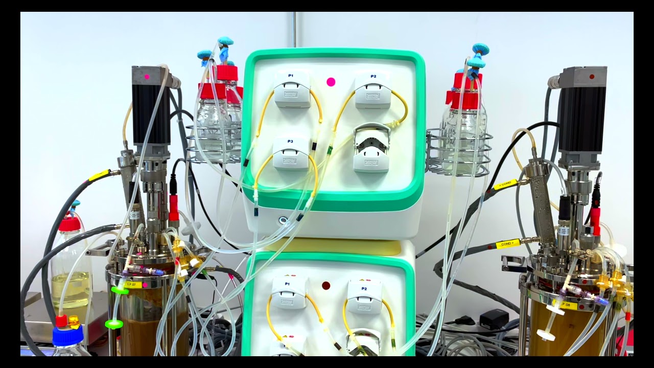 Pass the Mic Carbocode - YouTube