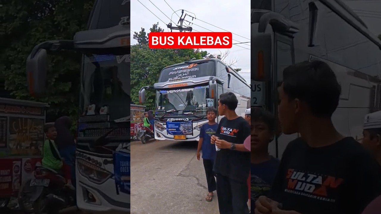 bus Al muminun kalebas..!! #shorts #short #telolet #basuri #bus #bis # ...