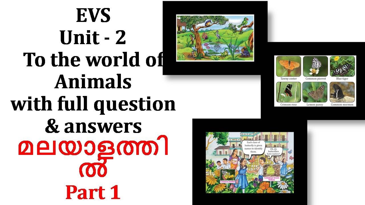 Class 3| EVS| Unit 2 |To the world of animals part 1|Text book ...