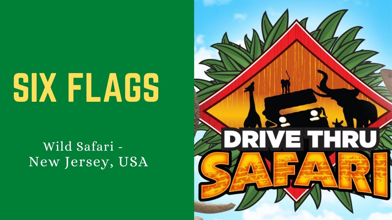 Six Flags Wild Safari Drive -Thru Adventure | New Jersey, USA - YouTube