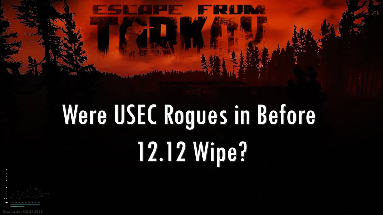 Usec rogues tarkov