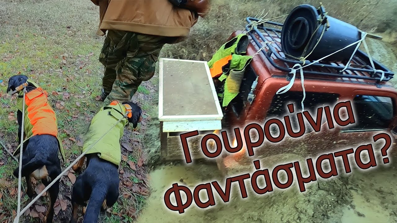 Κυνήγι αγριόχοιρου - Η σάλπιγγα της λήξης (γουρούνια φαντάσματα?) - YouTube