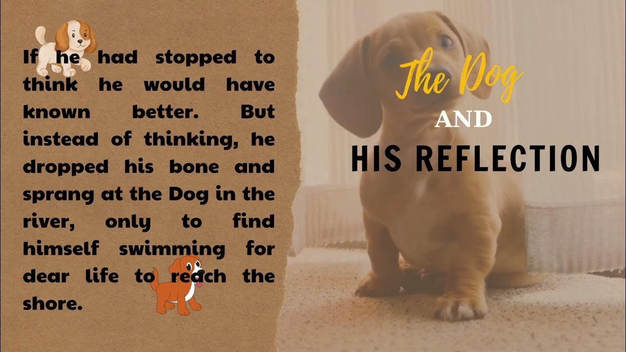 The Dog & His Reflection // Improve Your English //English Story - YouTube