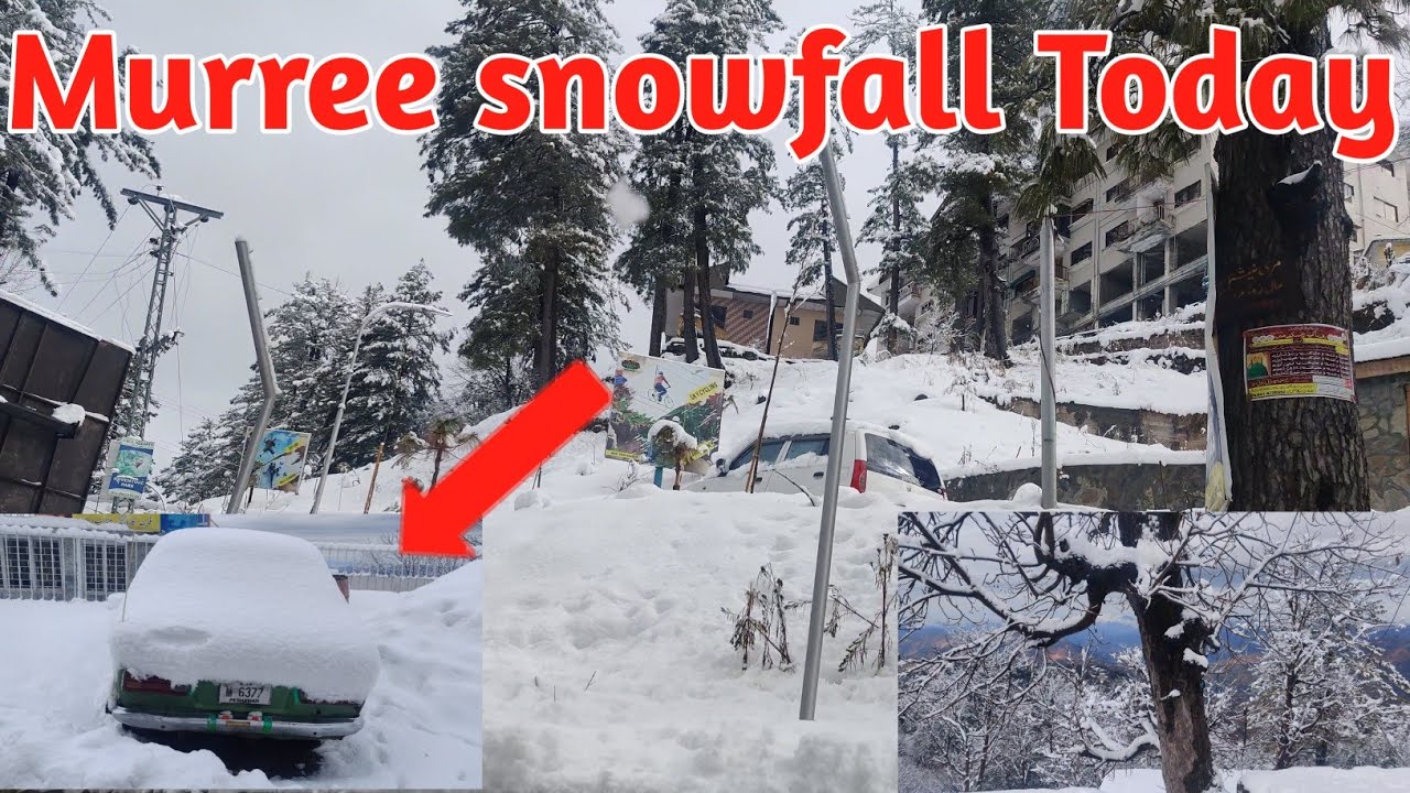 Murree snowfall Today || Live snowfall in murree 30th January 2023 ...