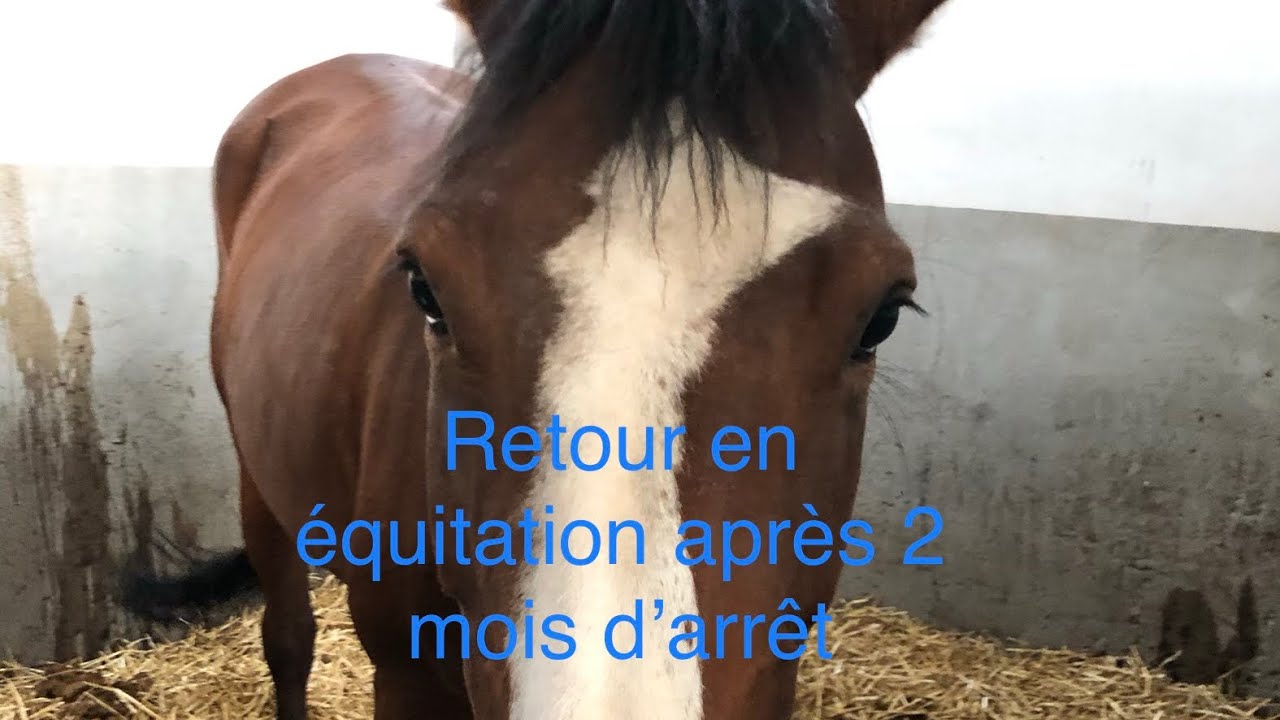 Explication mon retour en équitation - YouTube