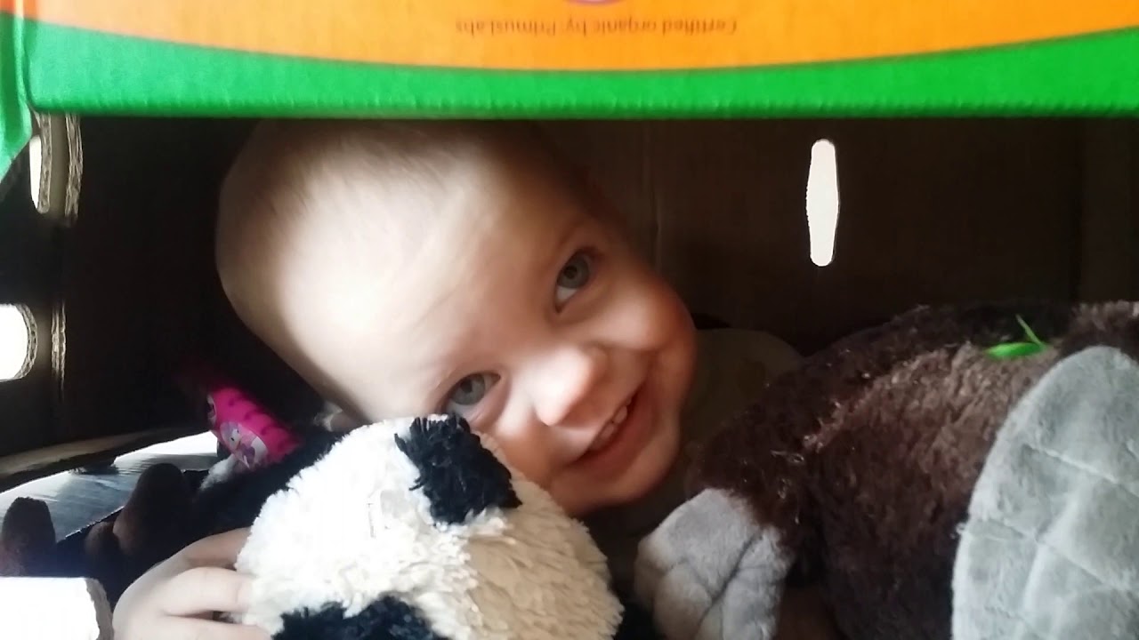 Betsy enjoying stuff animal box fort - YouTube