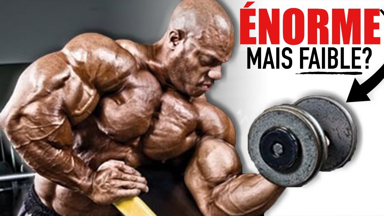 Pourquoi les GROS Bodybuilders s'entrainent SI LÉGER ? - YouTube