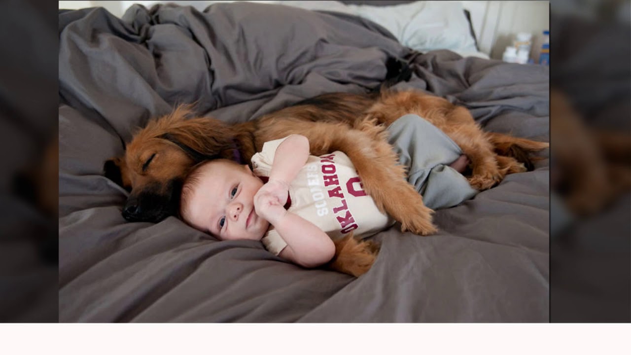 20+ Examples Of Unconditional Doggo Love That Will Melt Your Heart ...