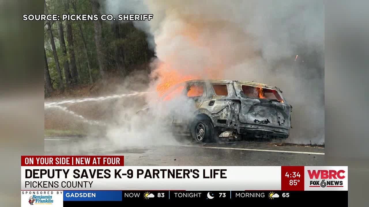 Pickens Co. deputy saves K-9 partner's life - YouTube