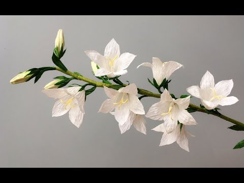 ABC TV | How To Make White Peachleaf Bellflower Paper Flower - Craft ...