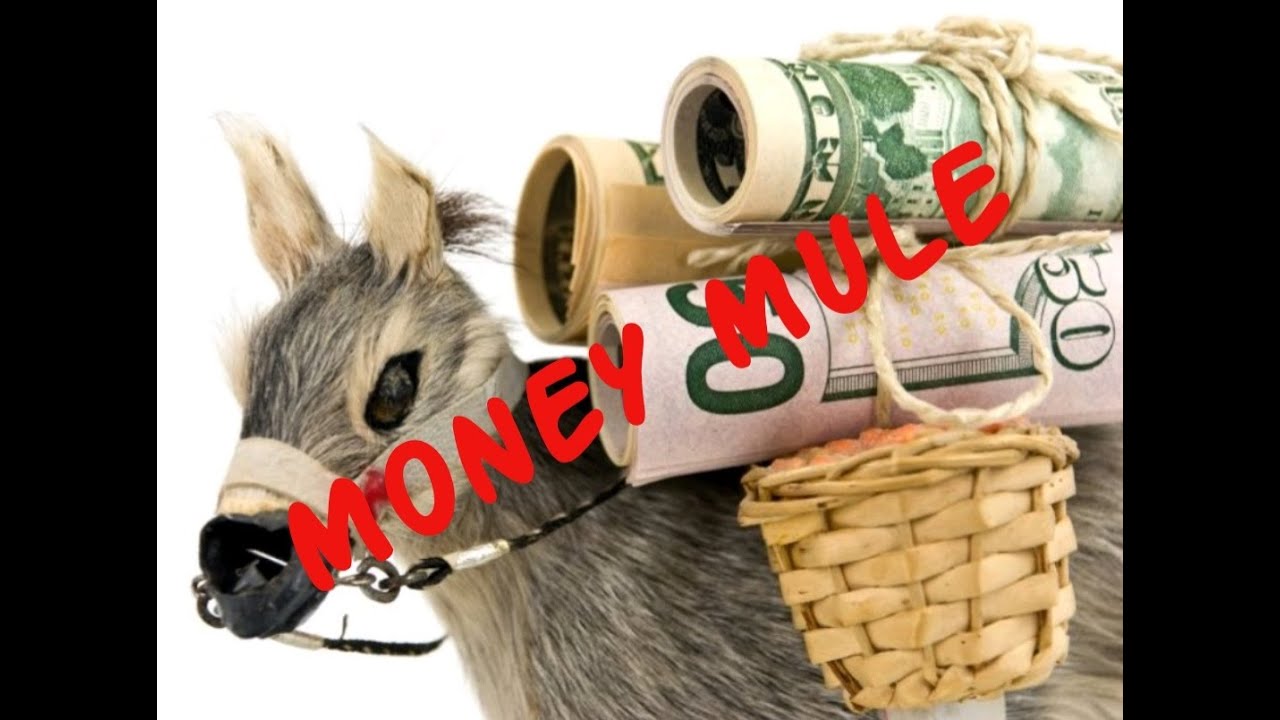 Money Mule,Part 7 - YouTube