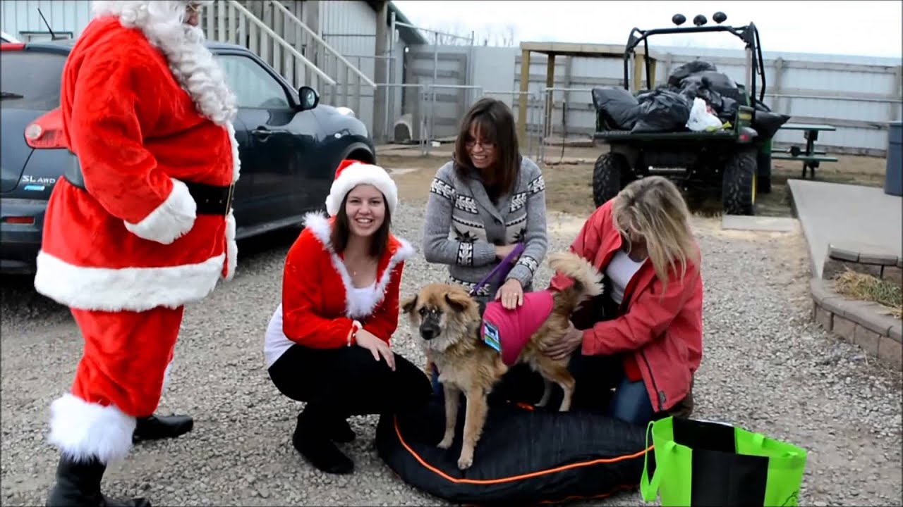 Sleep Rover's 4th Annual Operation Santa Paws - YouTube