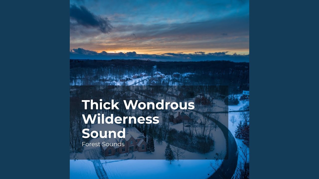 Symphonious Wildlife - YouTube Music