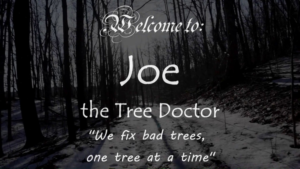 Joe, the Tree Doctor. We can fix any tree problem, many times while you ...