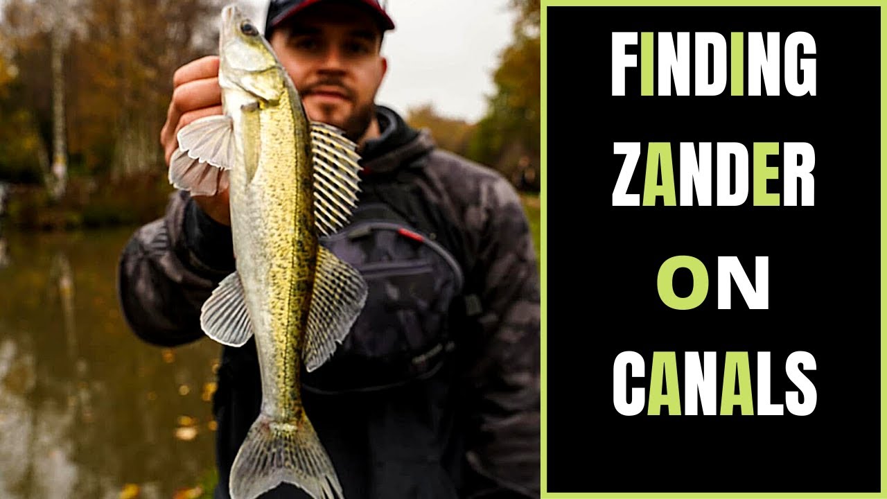 UK LURE FISHING - FINDING ZANDER ON CANALS - YouTube