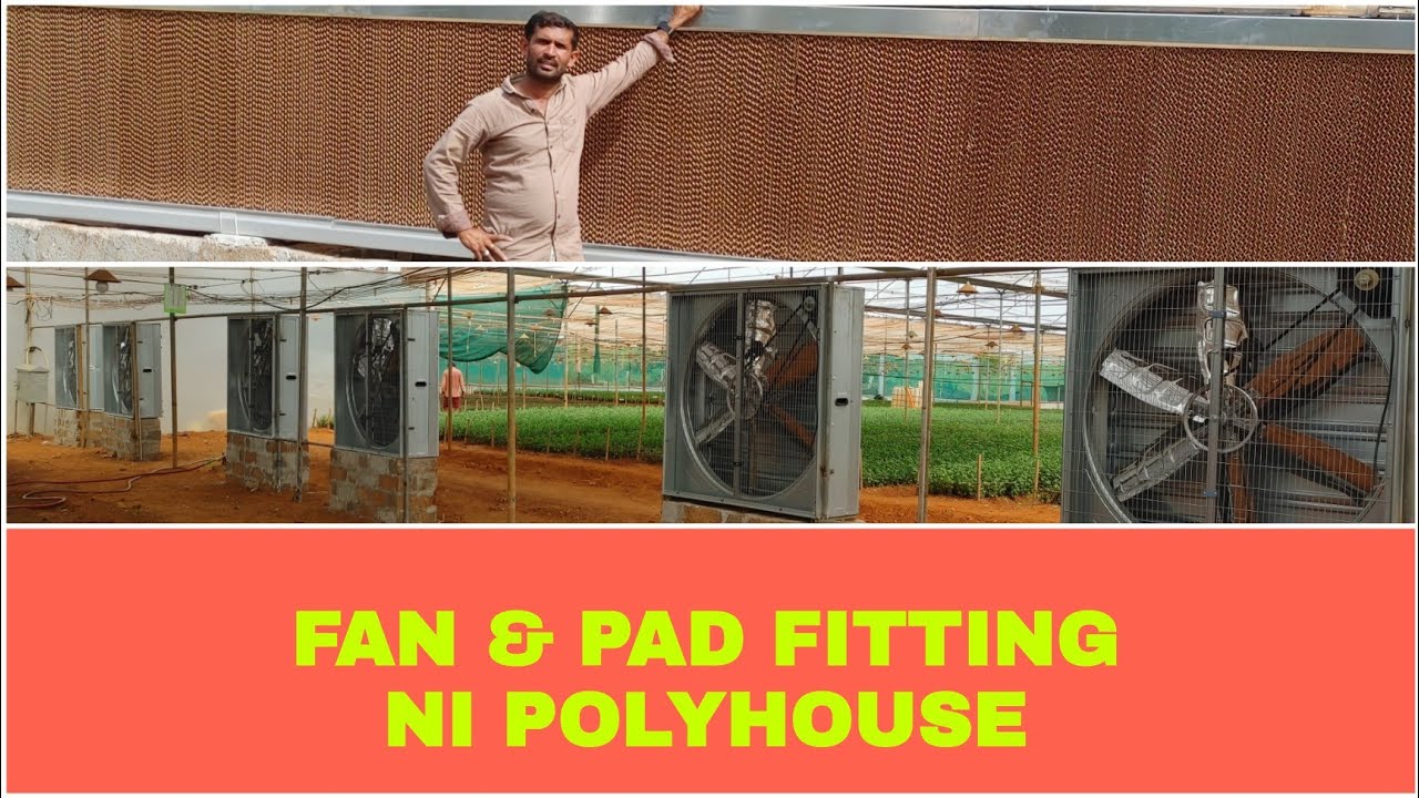Fan and pad install in polyhouse or poultry farm 9611111331 - YouTube