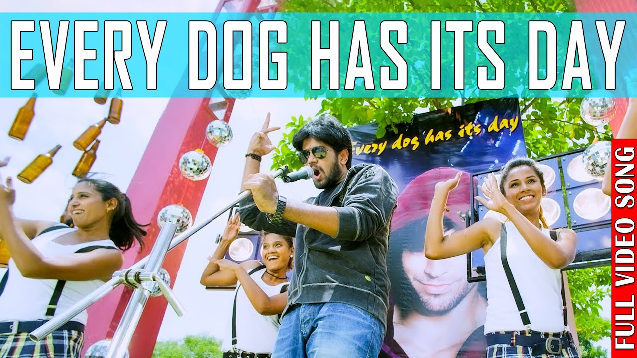Every Dog Has Its Day Video Song | Kirrak Movie | Anirudh , Chandini ...