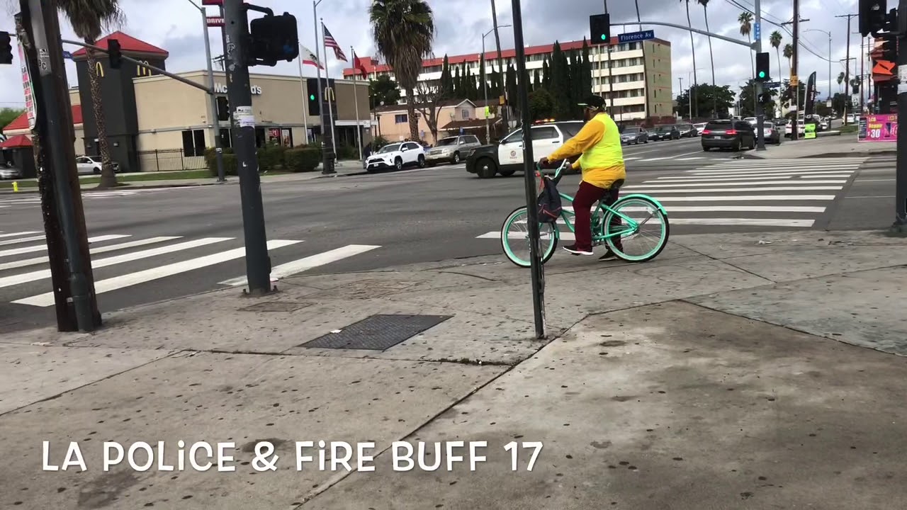 Lapd responding - YouTube