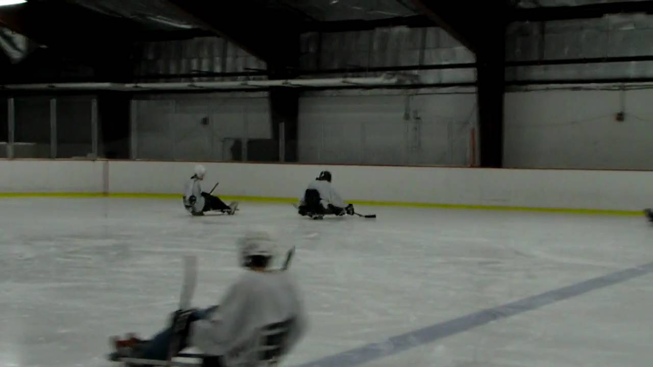 Bangor Area sled Hogs - YouTube