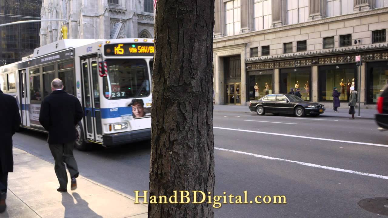 HandBDigital.com - Lumix G1 photo slideshow