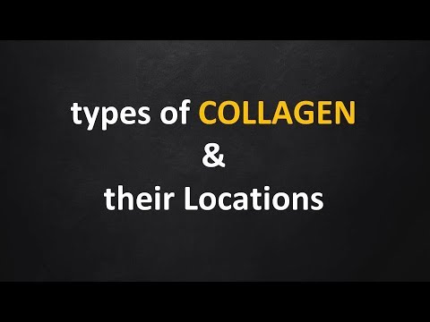Types of Collagen & Their Locations : My Medical Mnemonics - YouTube